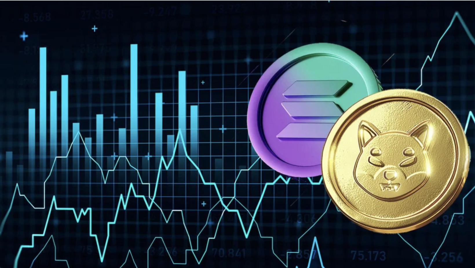 Solana Network Based Meme Coins Experience Meteoric Rise